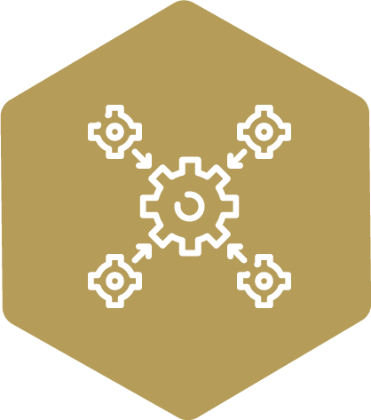 About Us - Bees Ltd